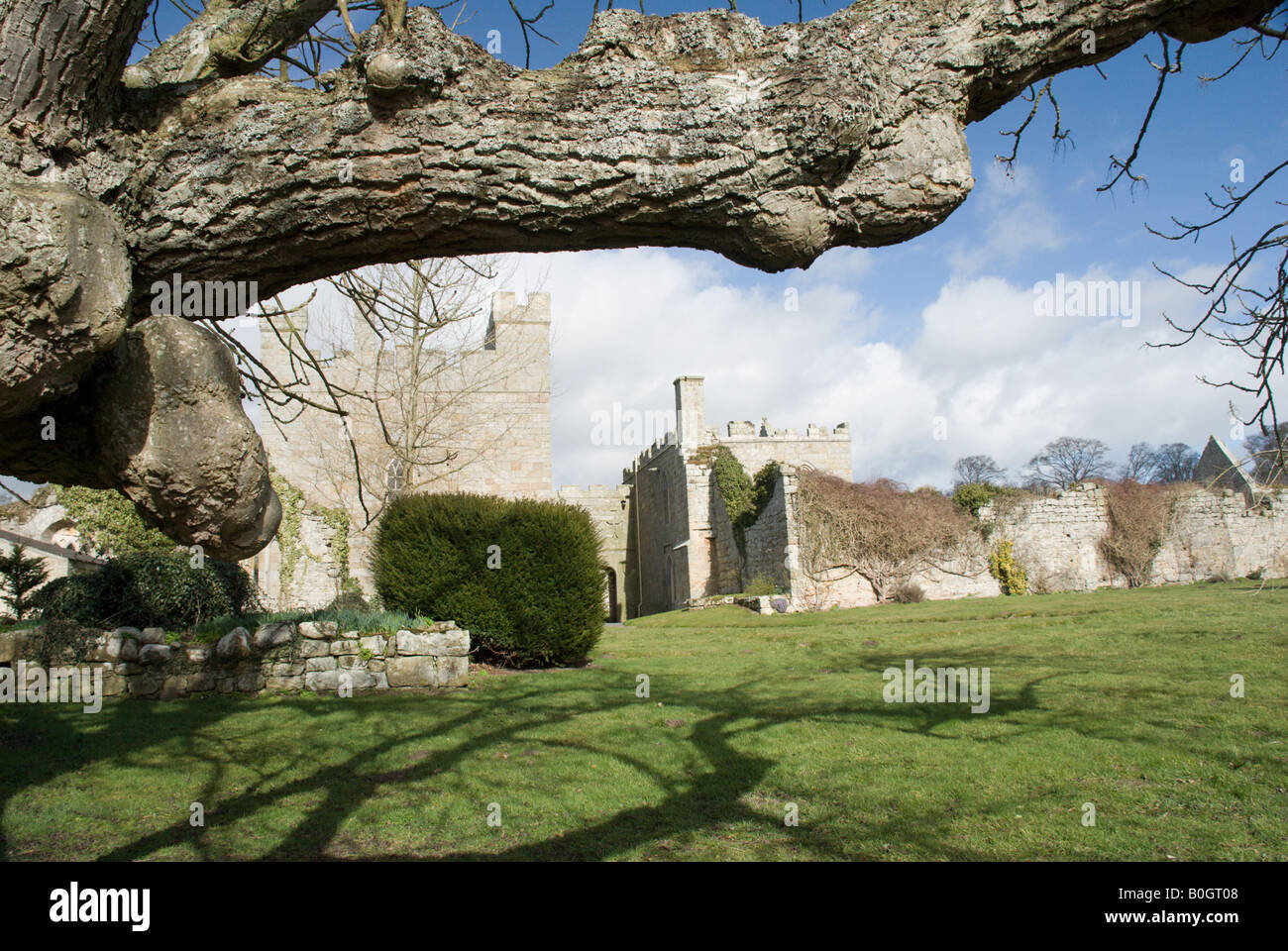 Hulne park hi-res stock photography and images - Alamy