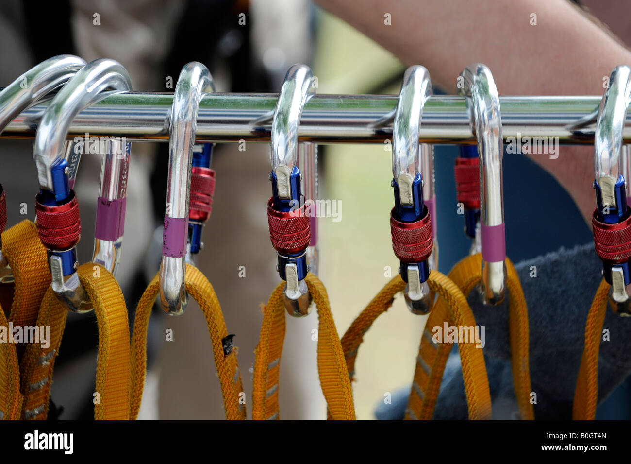 Climbing harnesses and shackles lined up ready for use. Picture by Jim ...