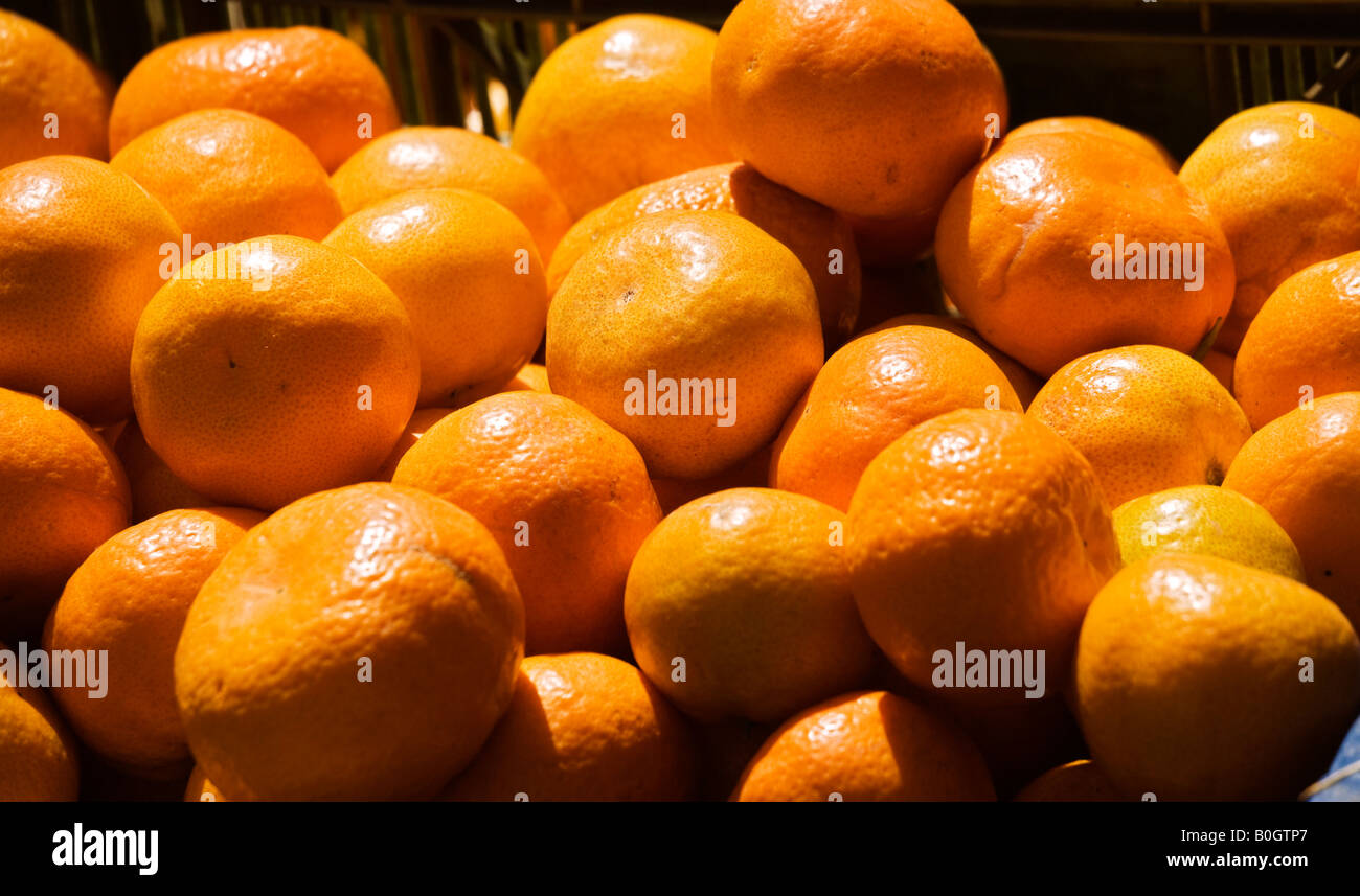 Portugal citrus hi-res stock photography and images - Alamy