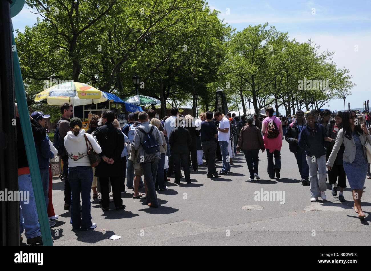 Elemation Longest Lines