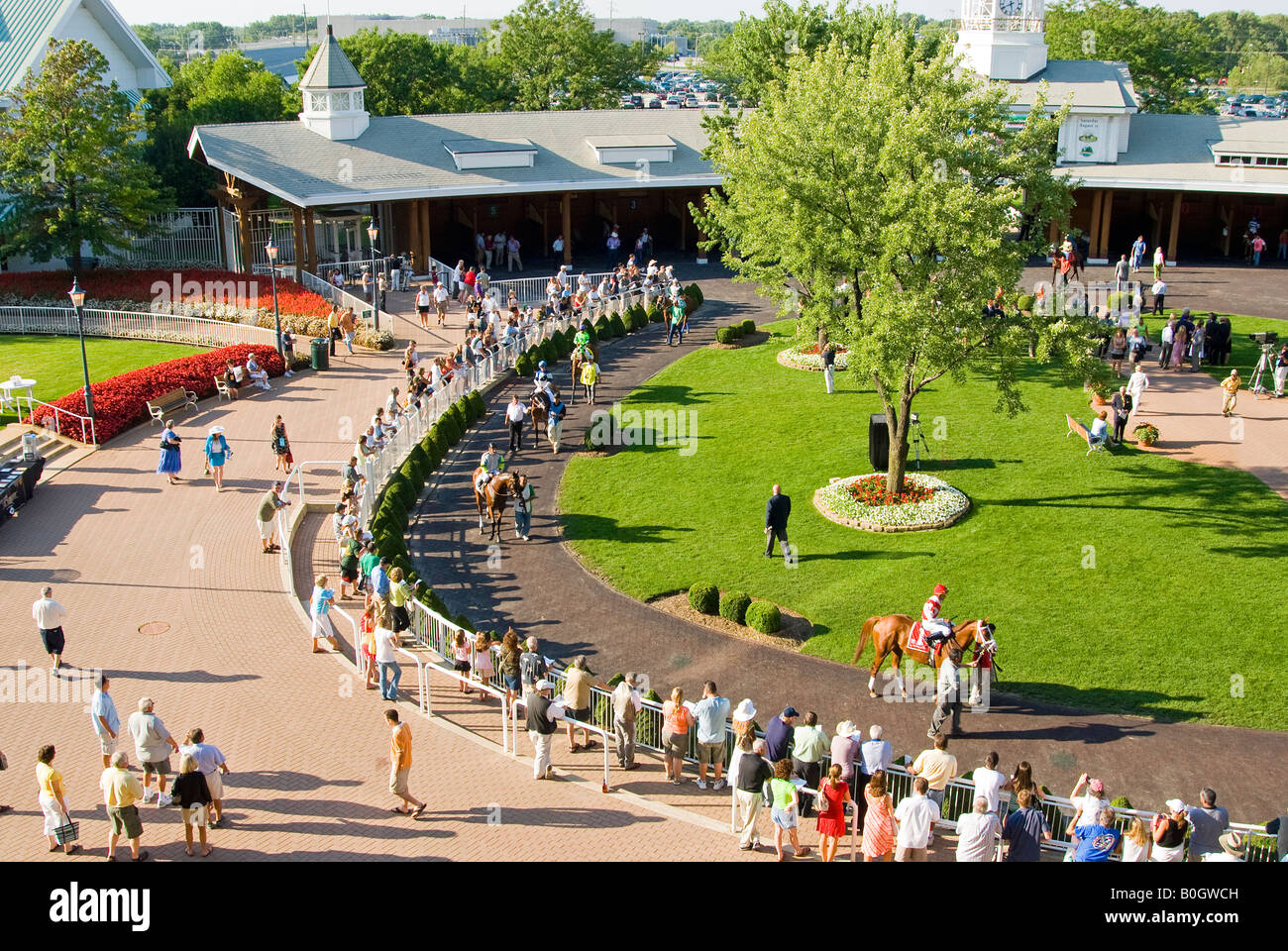 Arlington Park paddock area Stock Photo - Alamy