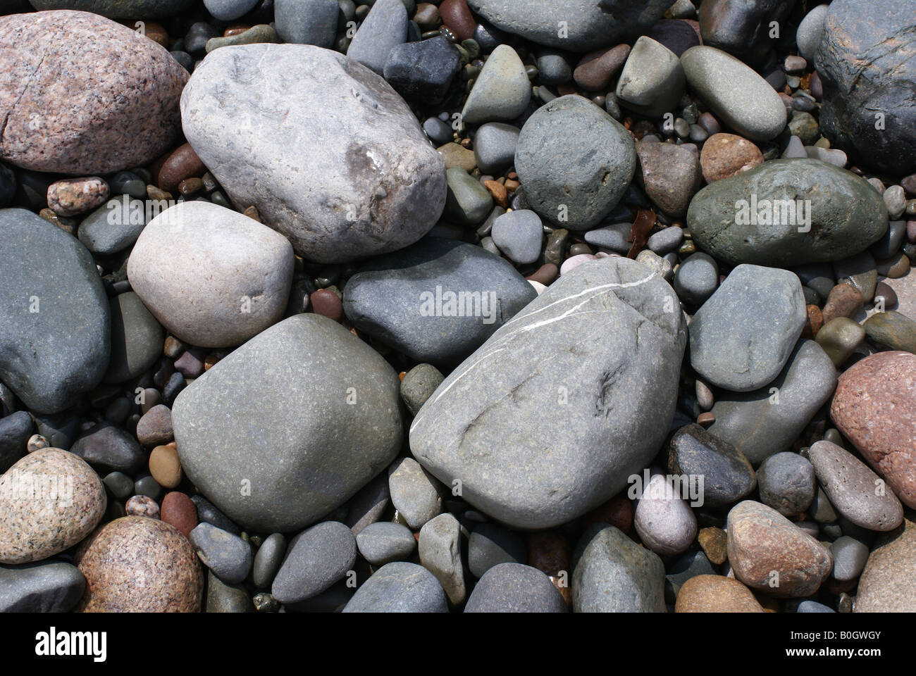 Pebbles on a beach Stock Photo - Alamy