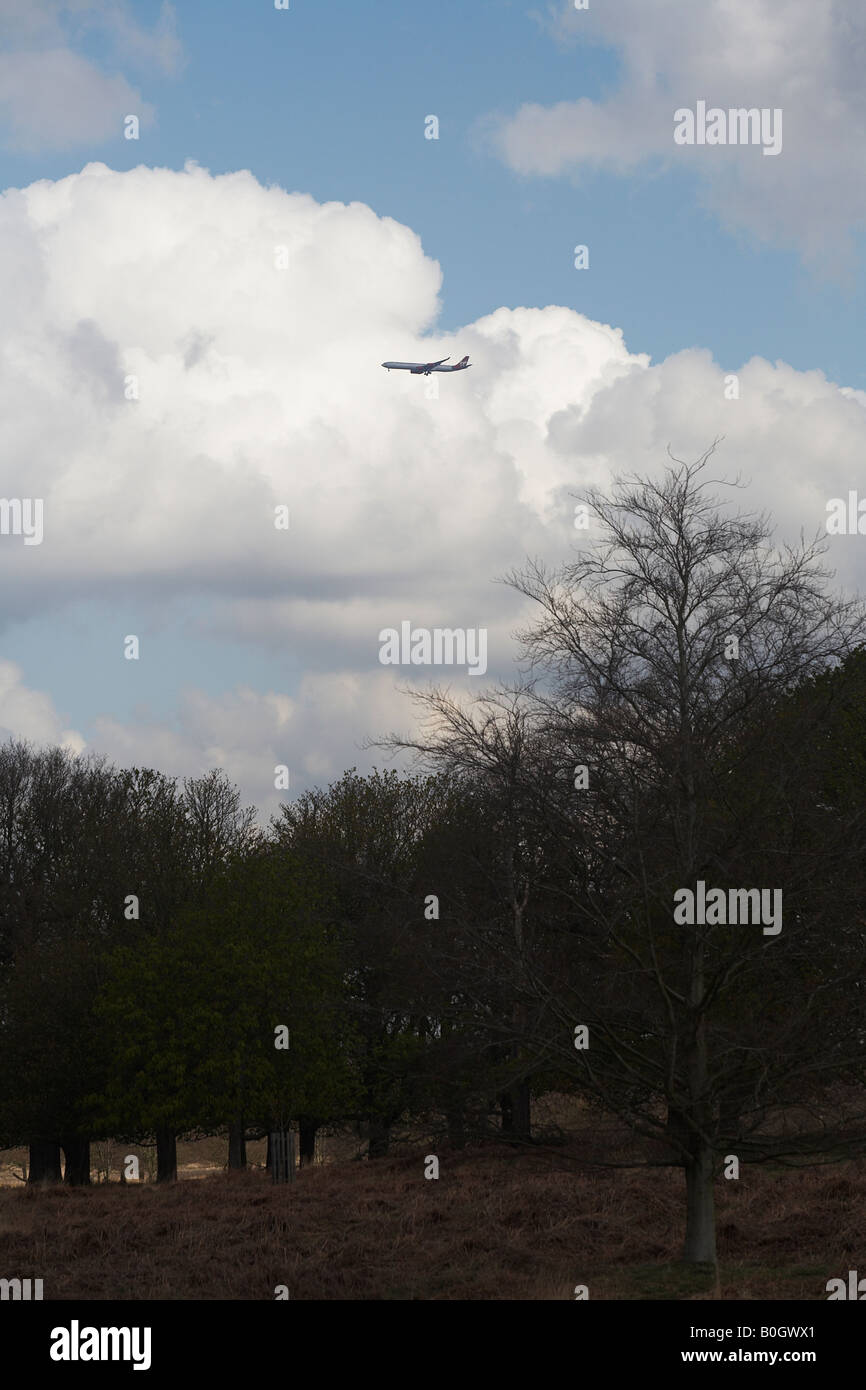 A plane flying over Richmond Park Stock Photo - Alamy