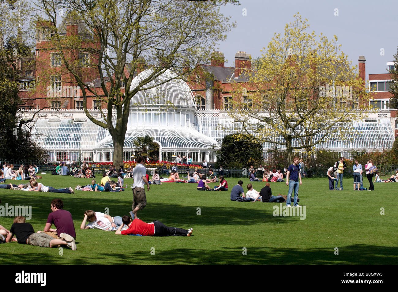 Botanic Gradens Belfast Northern Ireland Stock Photo - Alamy