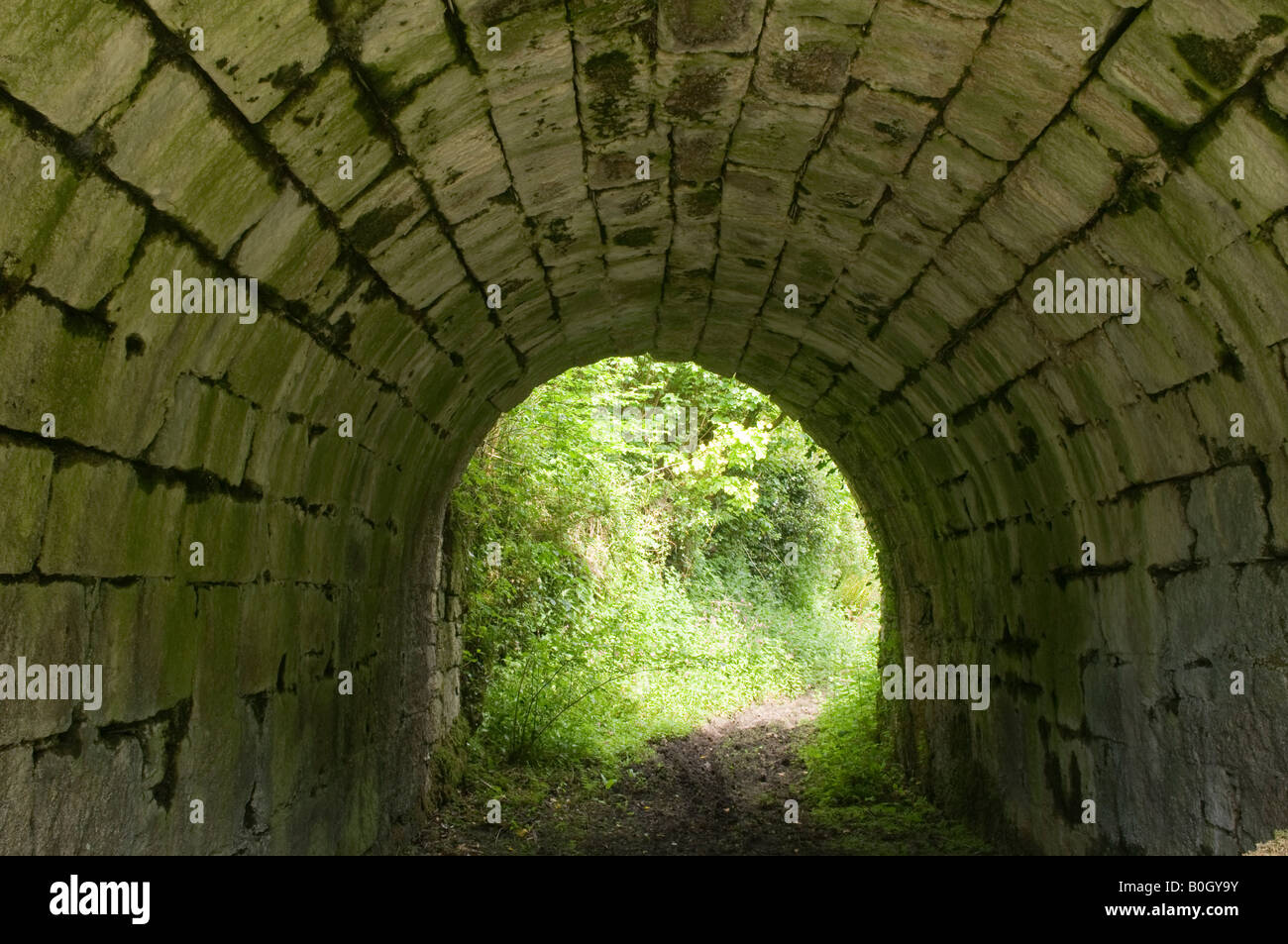 Tunnel at Luxulyan Valley, St Autell, Cornwall. This tunnel provided ...
