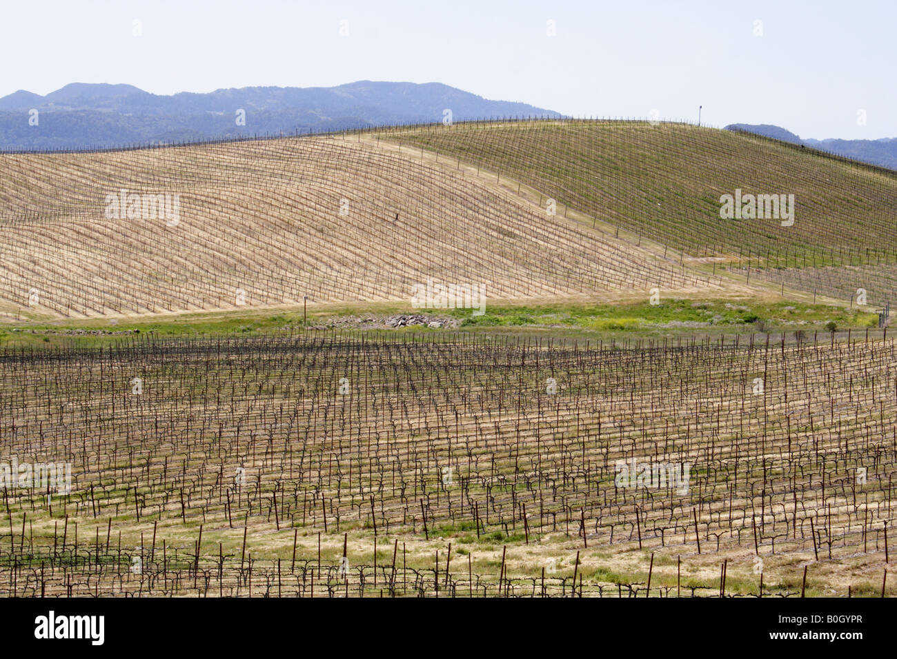 Napa Valley, CA Stock Photo - Alamy
