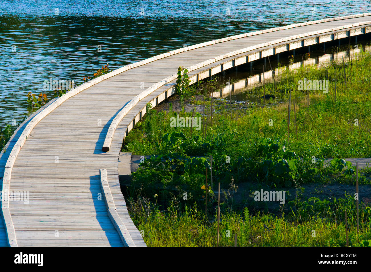 Wooden boardwalk trail hi-res stock photography and images - Alamy