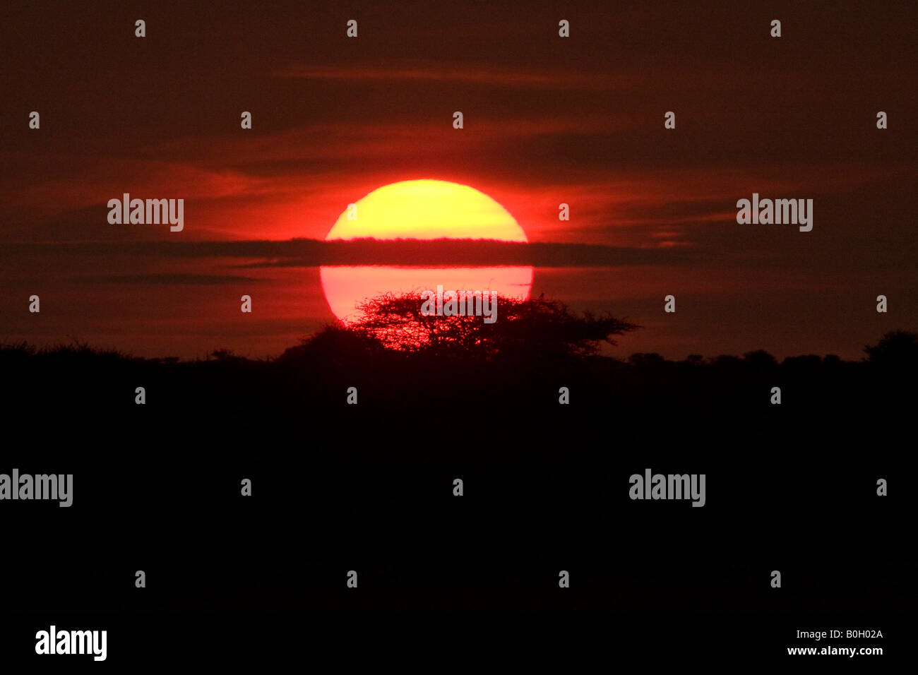 Rising african sun BOtswana Stock Photo - Alamy