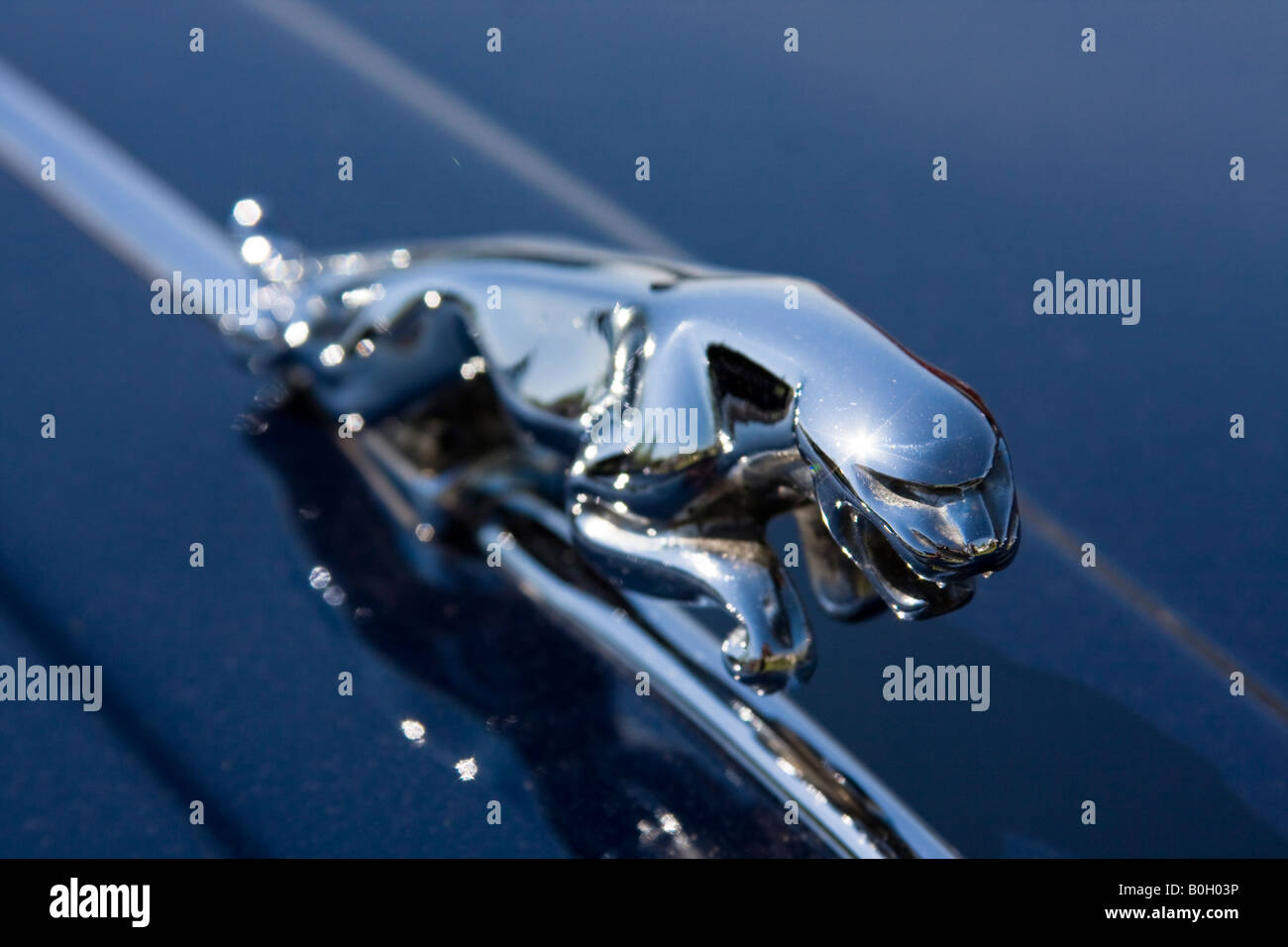 Jag emblem hi-res stock photography and images - Alamy