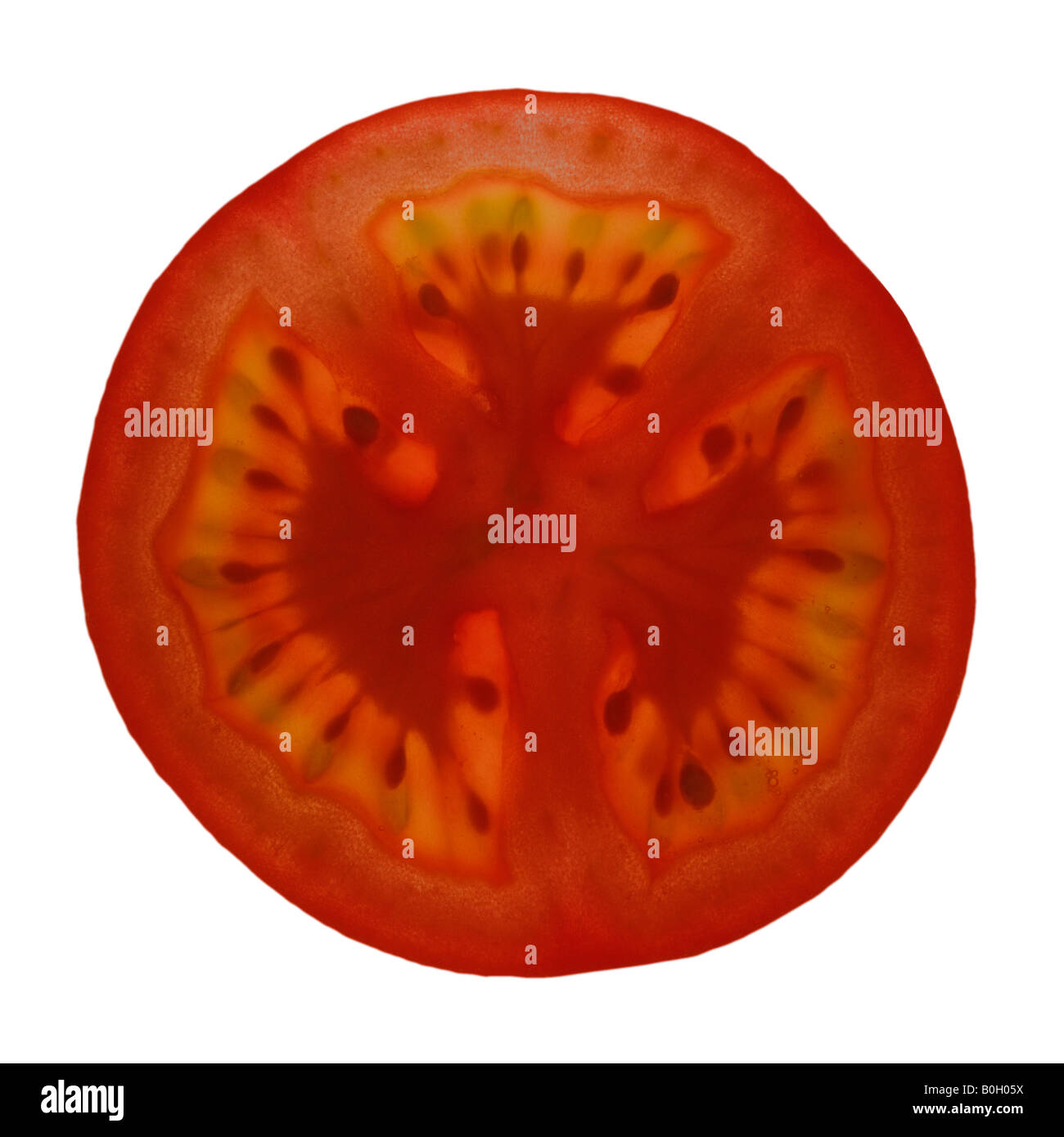 Microscope cutout hi-res stock photography and images - Alamy