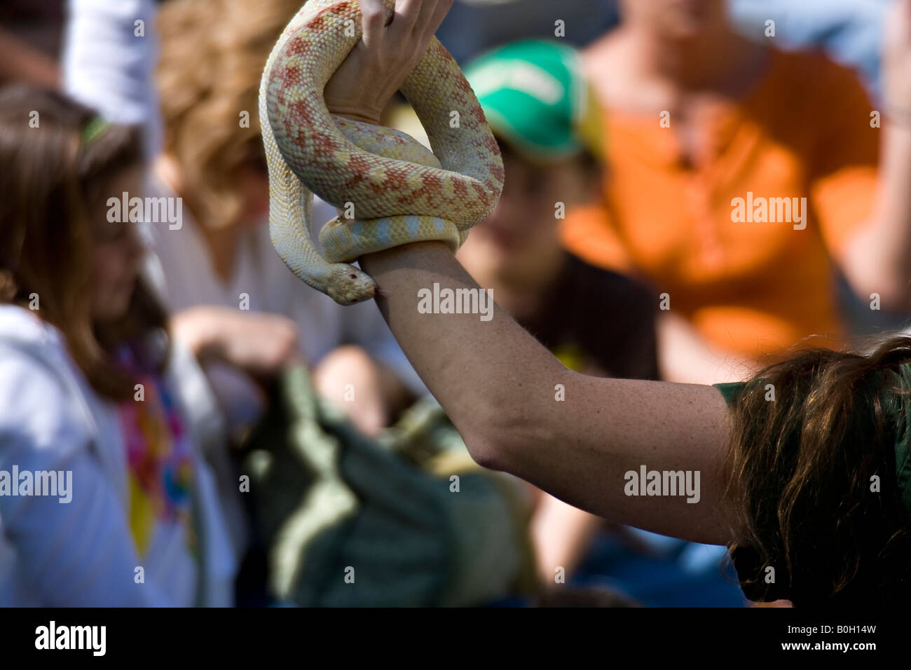 Children with snake hi-res stock photography and images - Alamy