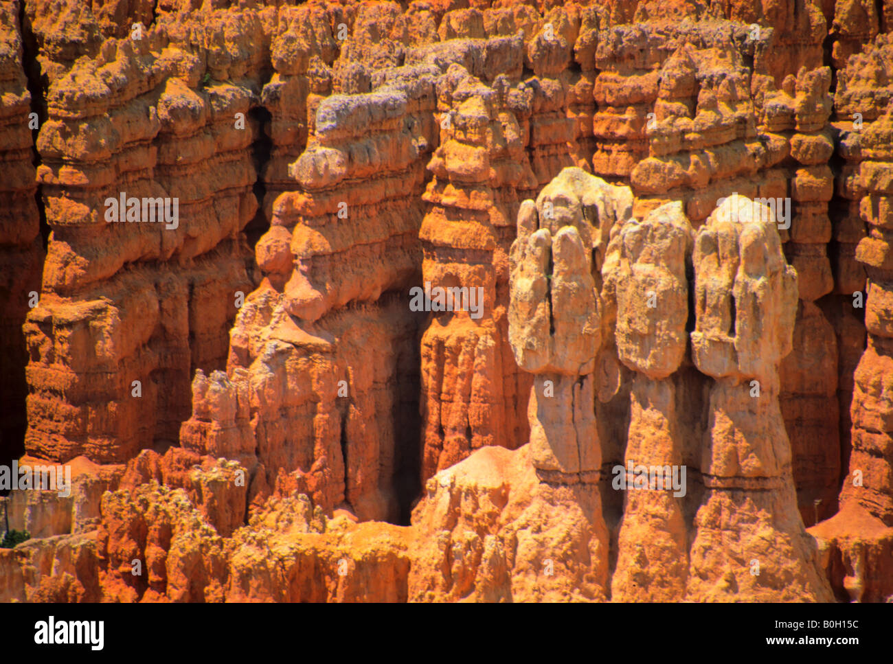 pillars of Bryce Canyon National Park red stone columns pinnacles ...