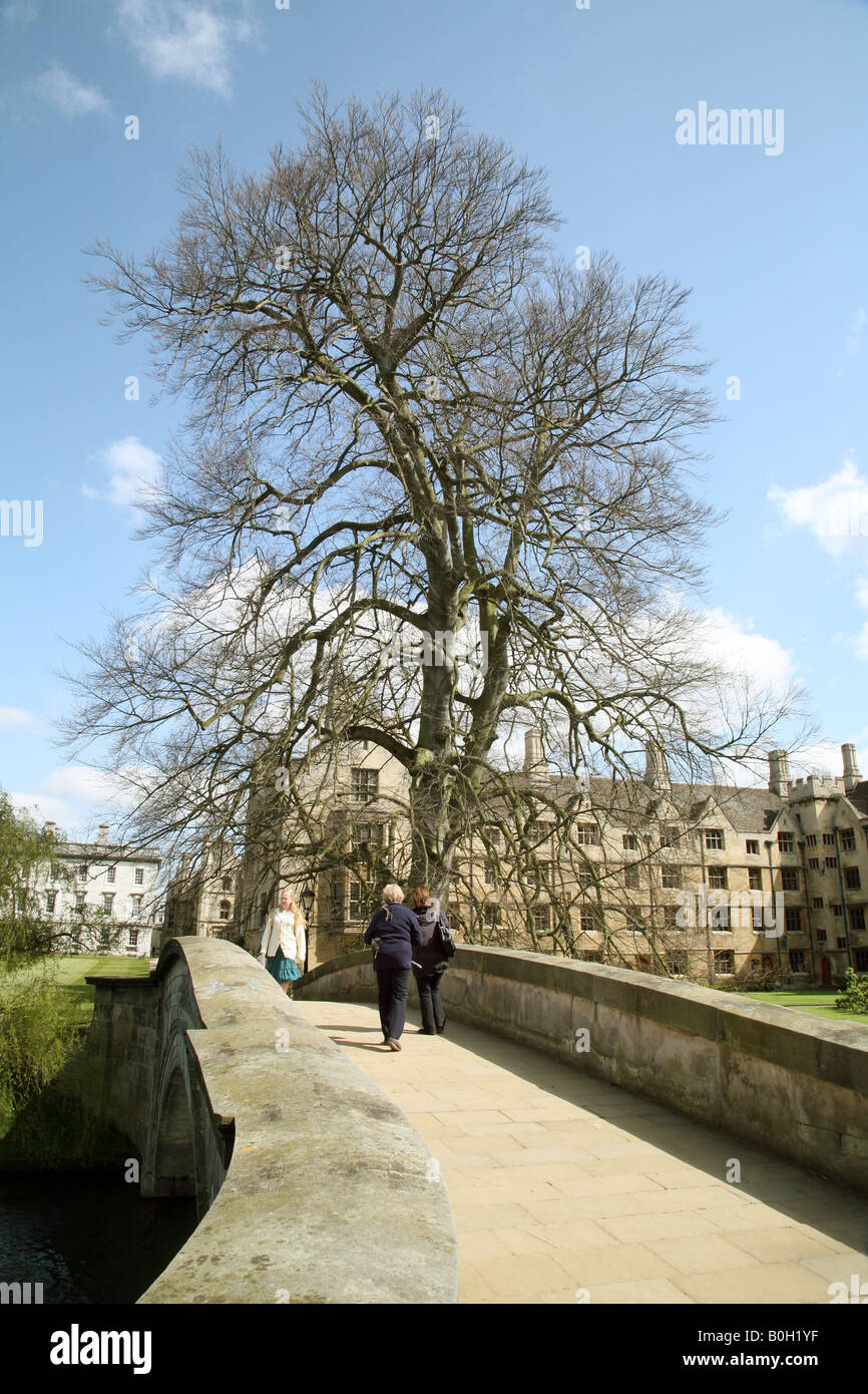 Kings college bridge hi-res stock photography and images - Alamy