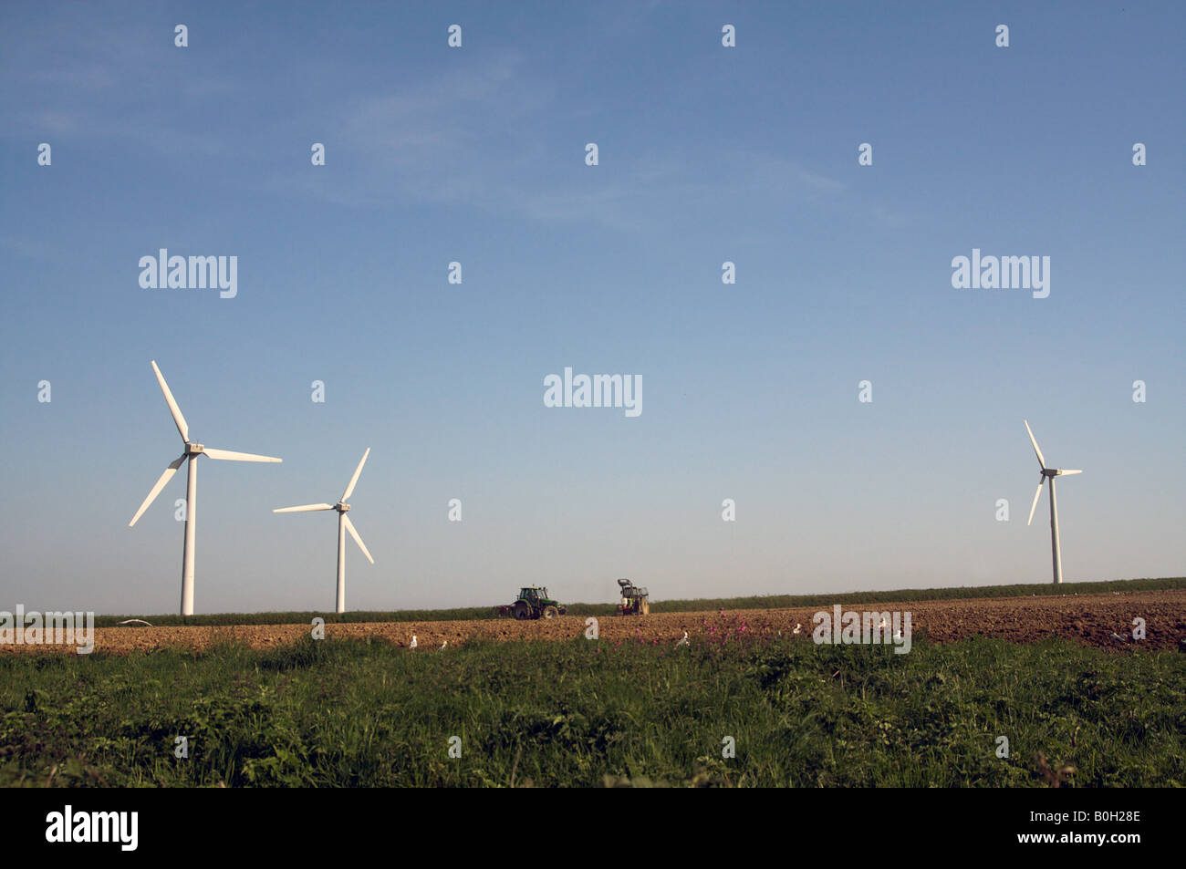 Two tractors plough a field in Cornwall, with three wind turbines in ...