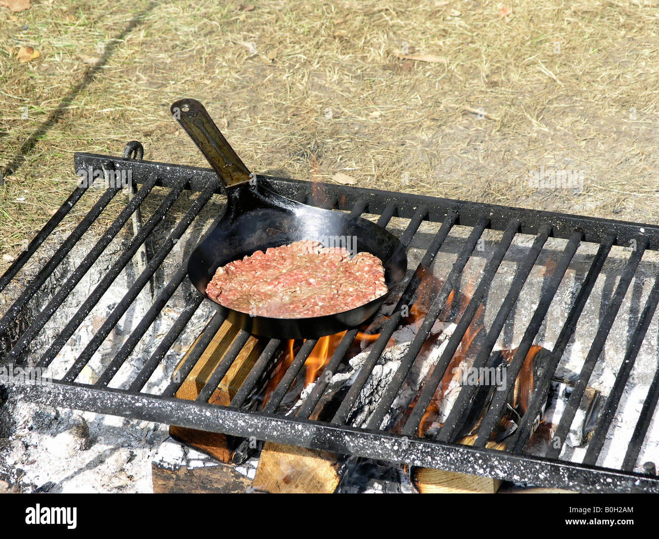 Meat cooking on a campfire Stock Photo - Alamy