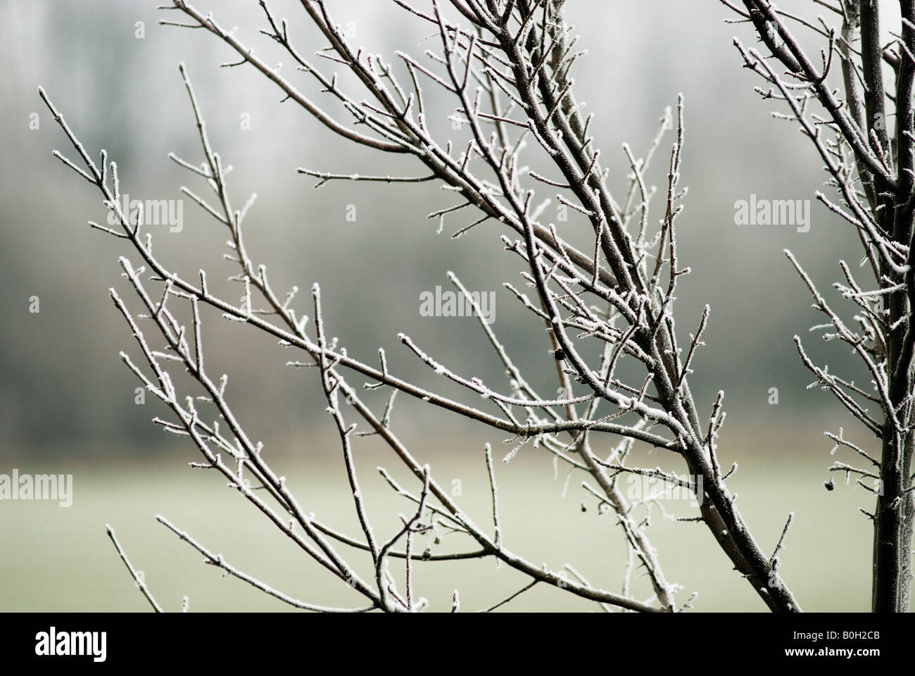 Midwest farm winter hi-res stock photography and images - Alamy