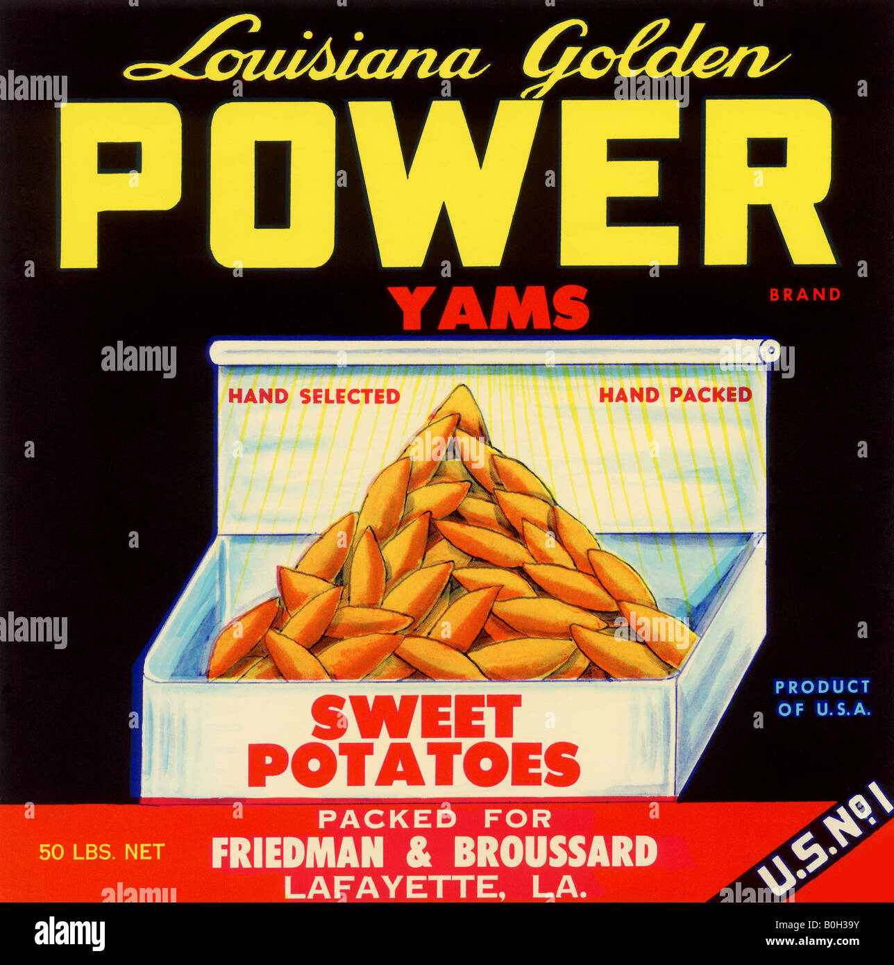 Louisiana Golden Power Yams Stock Photo - Alamy