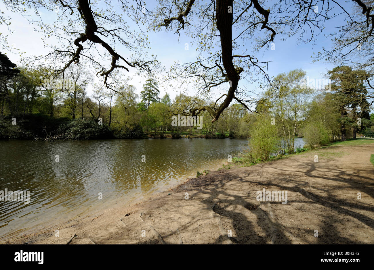The lake at Virginia Water Stock Photo - Alamy