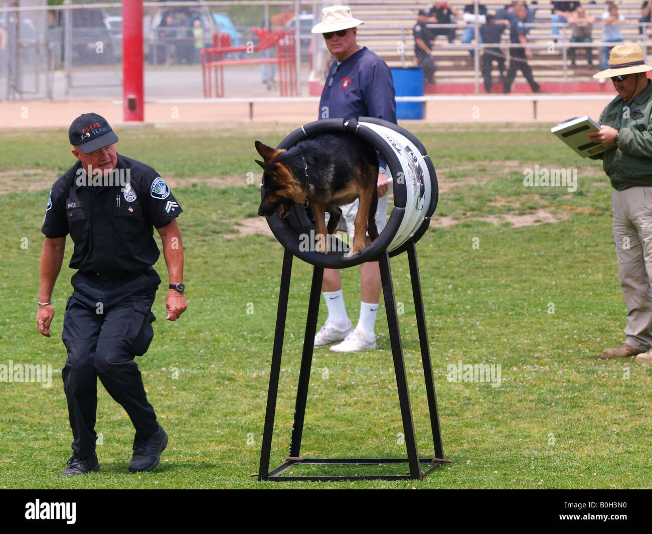 Officer guides his dog through the barrel jump phase of the agility ...