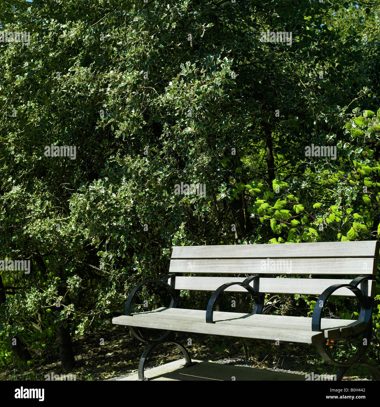 Basic bench hi-res stock photography and images - Alamy