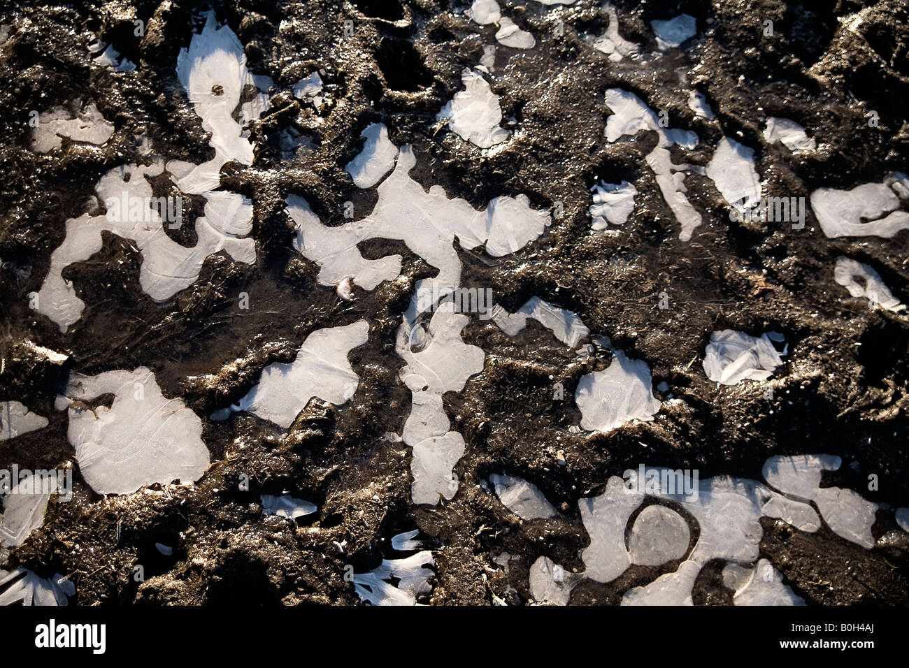Iced up muddy puddle textures Stock Photo - Alamy