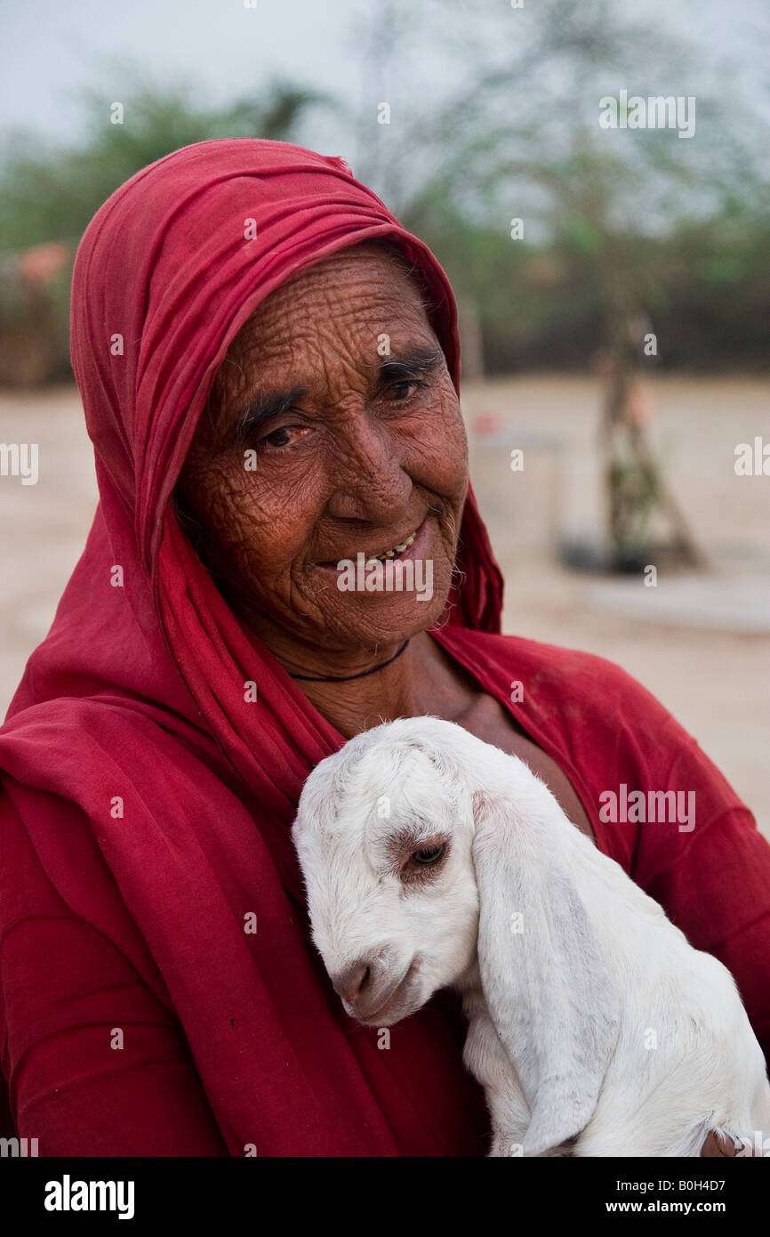 Lady and goat, Rajastan, India Stock Photo - Alamy