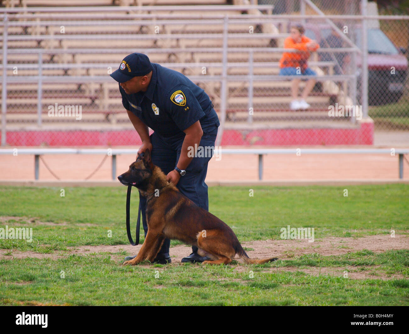 African American police officer prepares to release his dog, during K9 ...