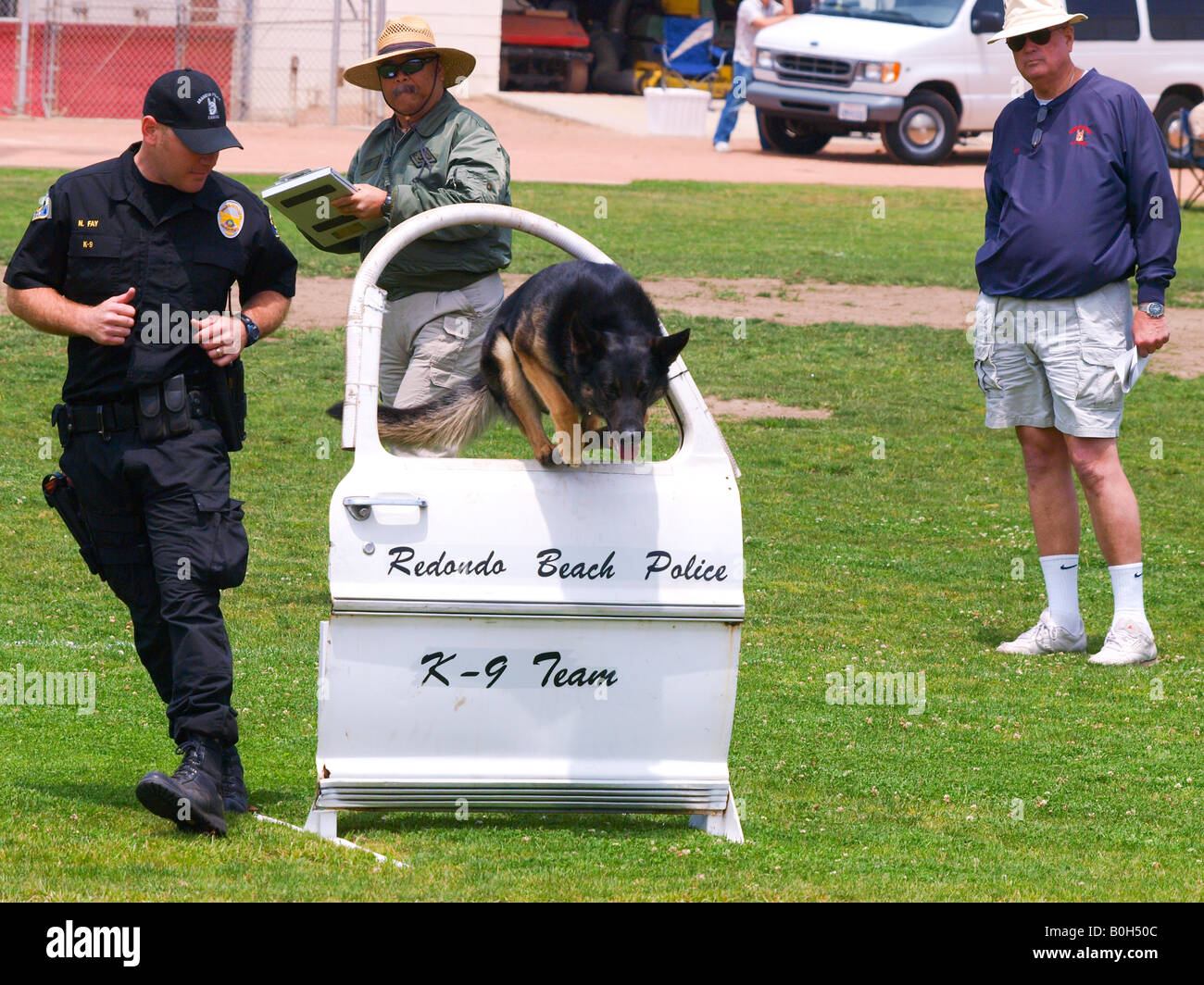 Police officer watches his German Shepherd jump through the car window ...