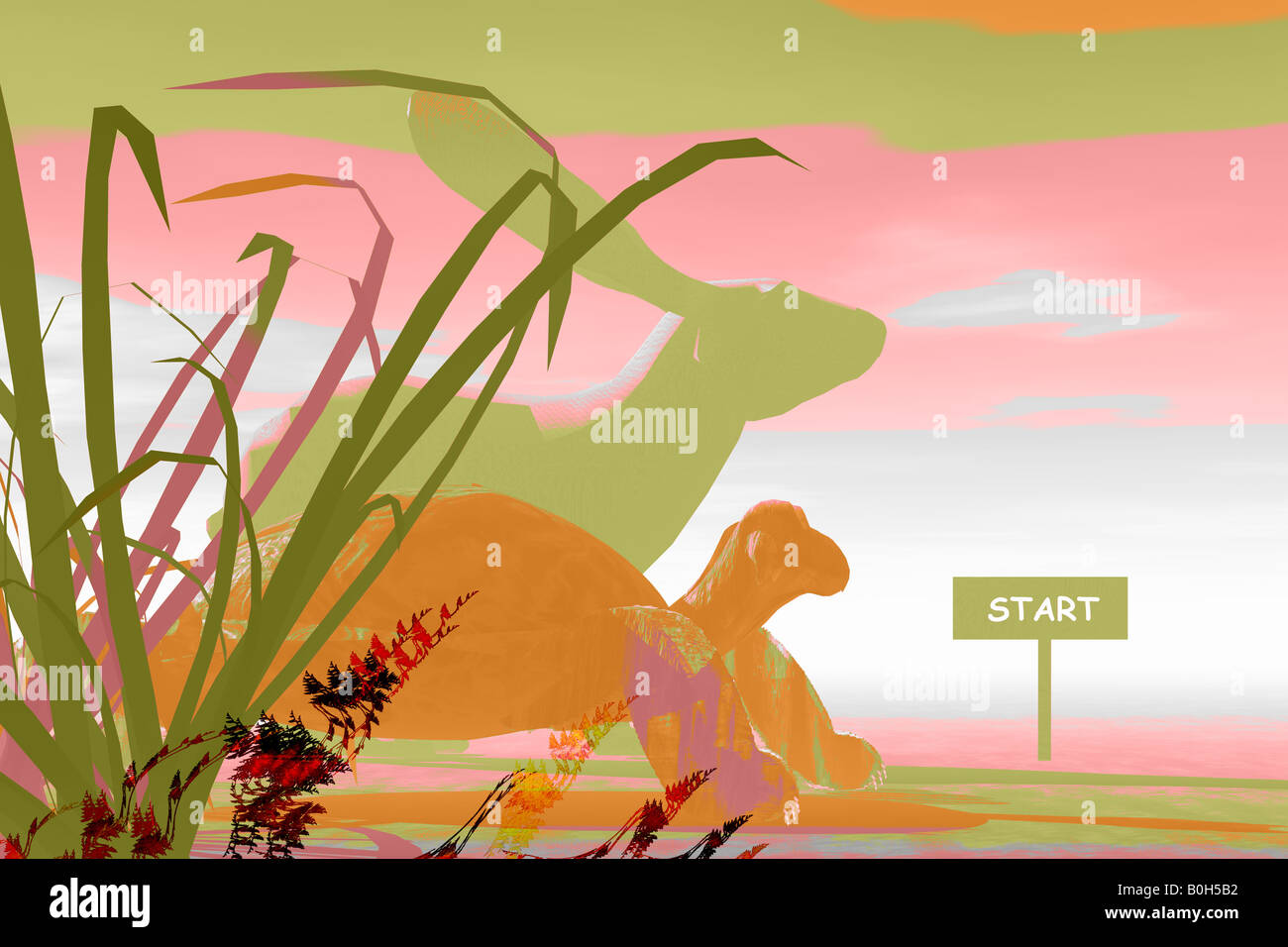 Hare and tortoise race hi-res stock photography and images - Alamy