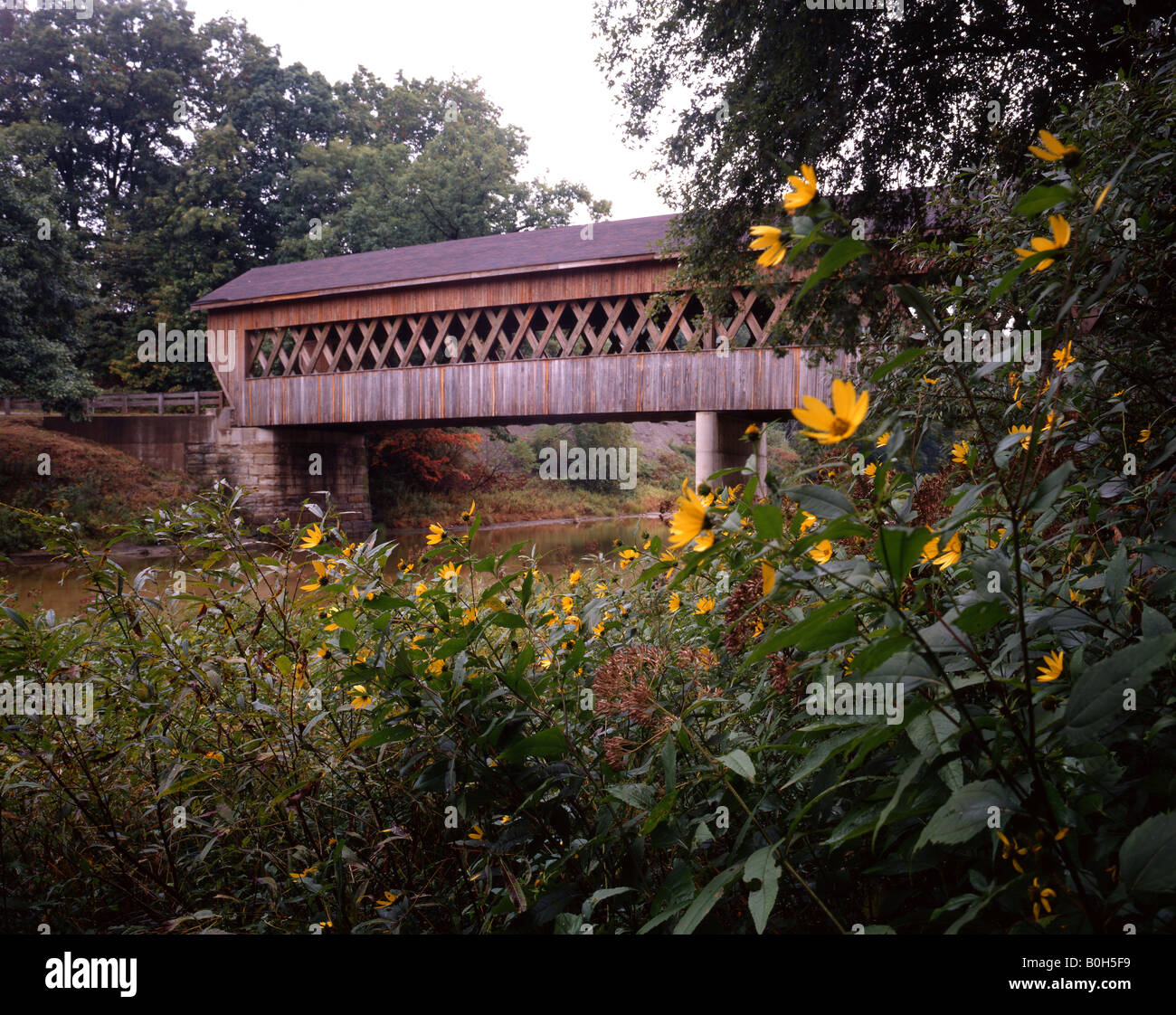 Wooden Covered Bridge in Springtime Stock Photo - Alamy