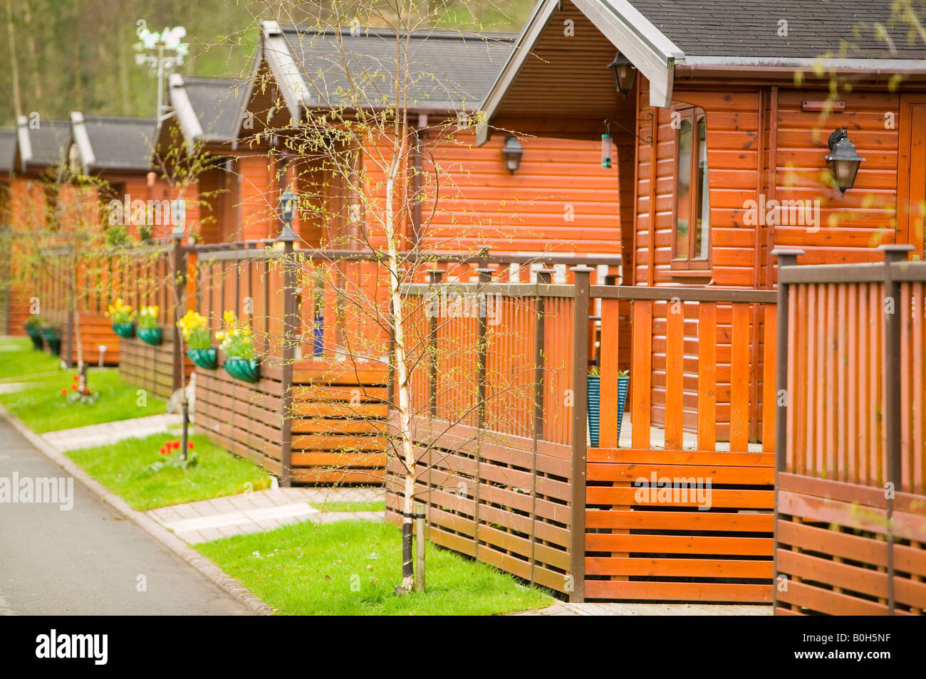 Log Cabins on a caravan park near Lowther Cumbria UK Stock Photo - Alamy