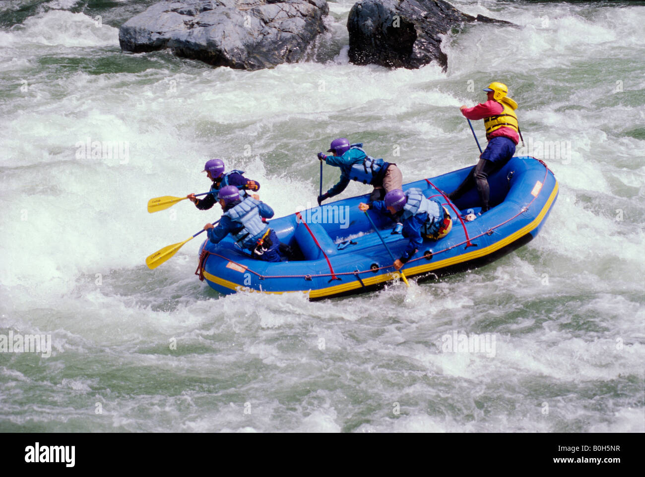Demonstrating their precision teamwork a river rafting crew paddles in ...