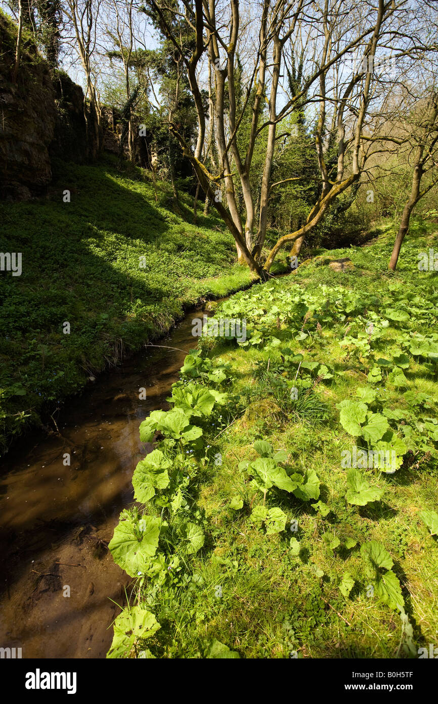 Ravens dale hi-res stock photography and images - Alamy