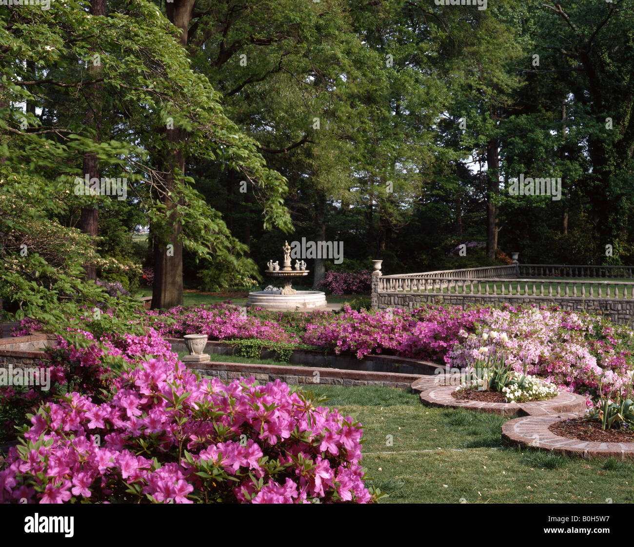 Azalea Garden with Fountain Stock Photo - Alamy
