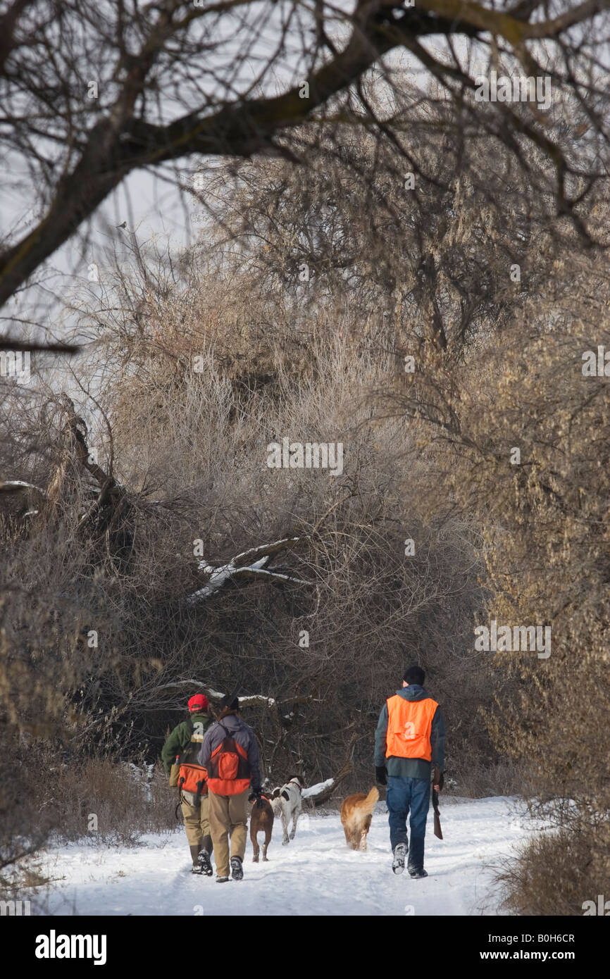 Hunting at Fort Boise wildlife management area MR Stock Photo - Alamy