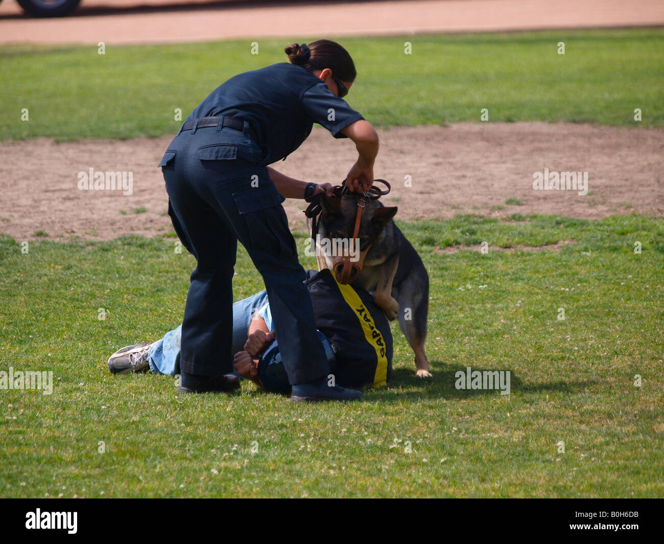 Female police officer pulls her dog off of man acting as criminal ...