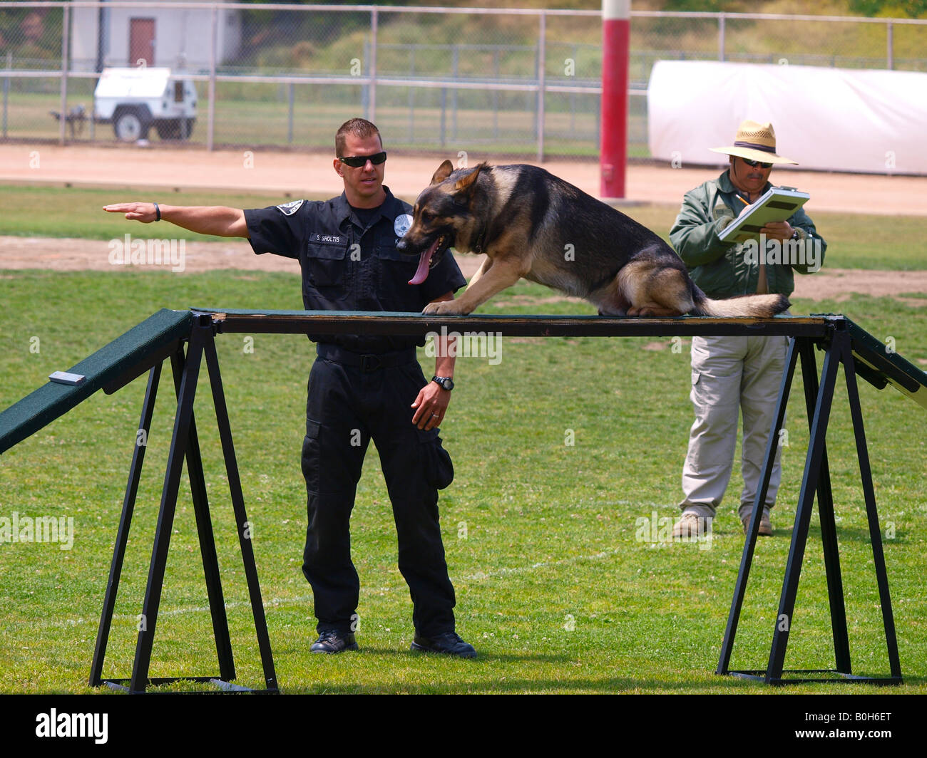 Officer gives direction to his dog on the cat walk phase of the agility ...