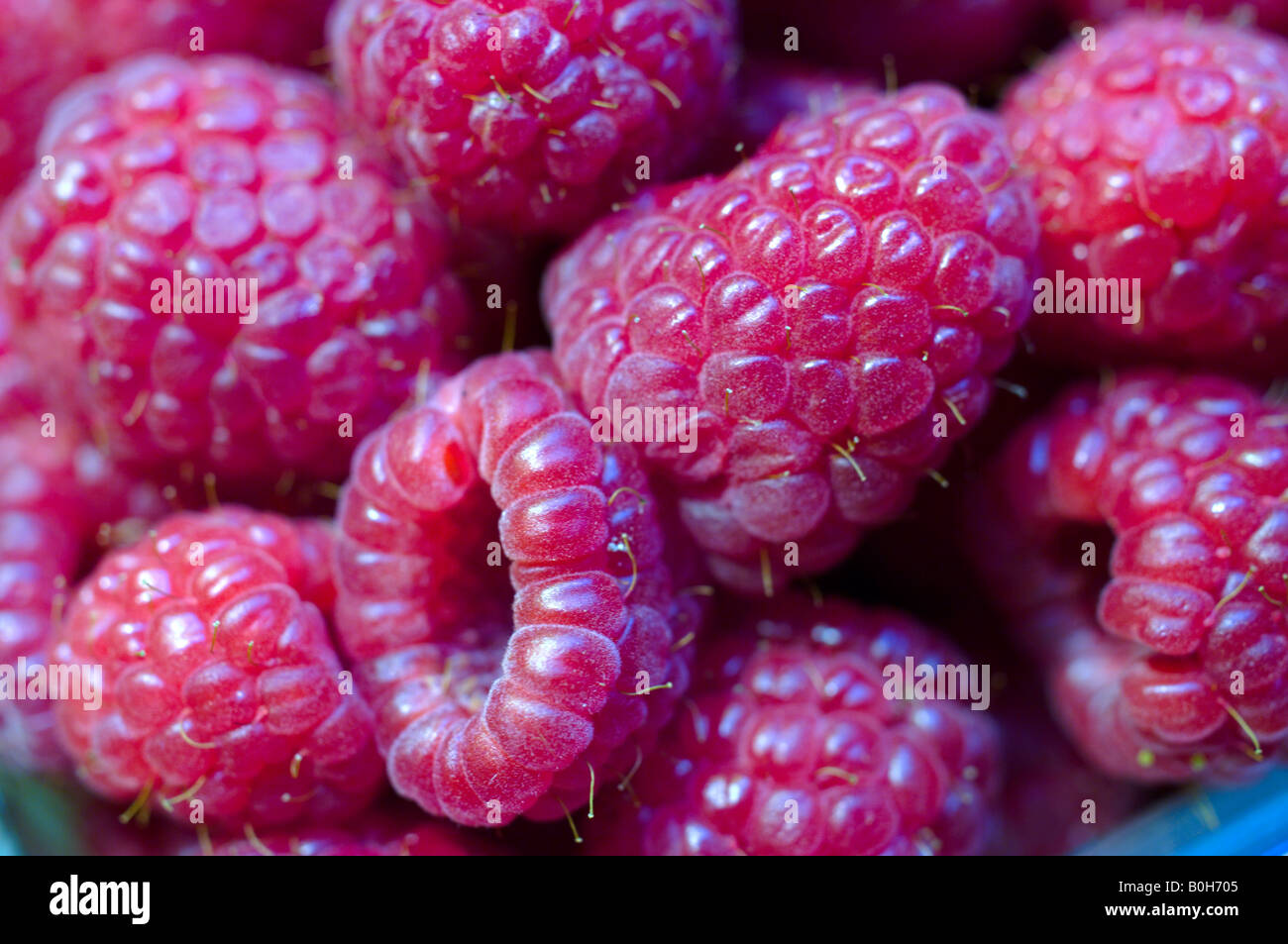 Raspberries for sale at the Granville Island Farmer's Market, Vancouver ...