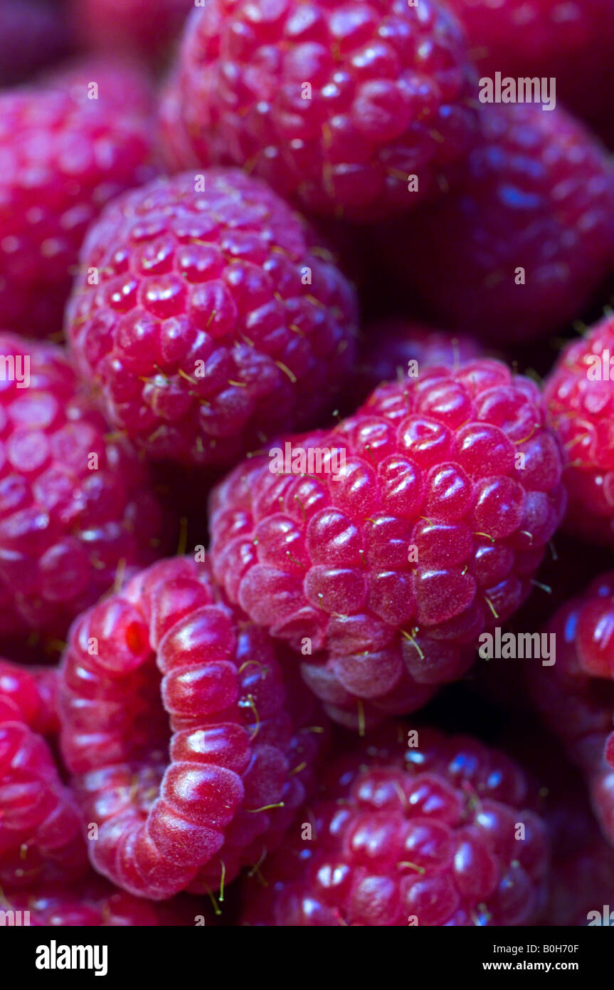 Granville island farmers market hi-res stock photography and images - Alamy