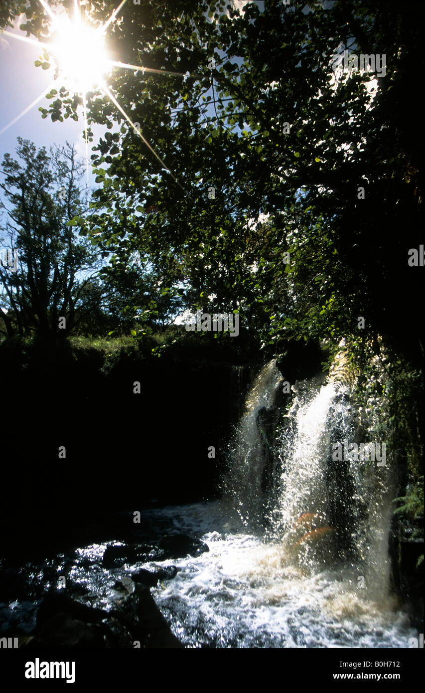 Tullydermot Waterfalls, County Cavan, Ireland Stock Photo - Alamy