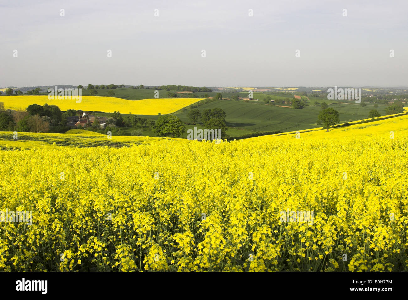 English countryside in spring Stock Photo - Alamy