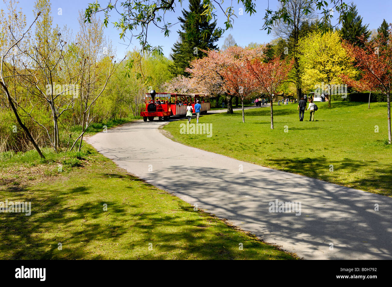 Trackless train carrying people in High Park Toronto Stock Photo - Alamy
