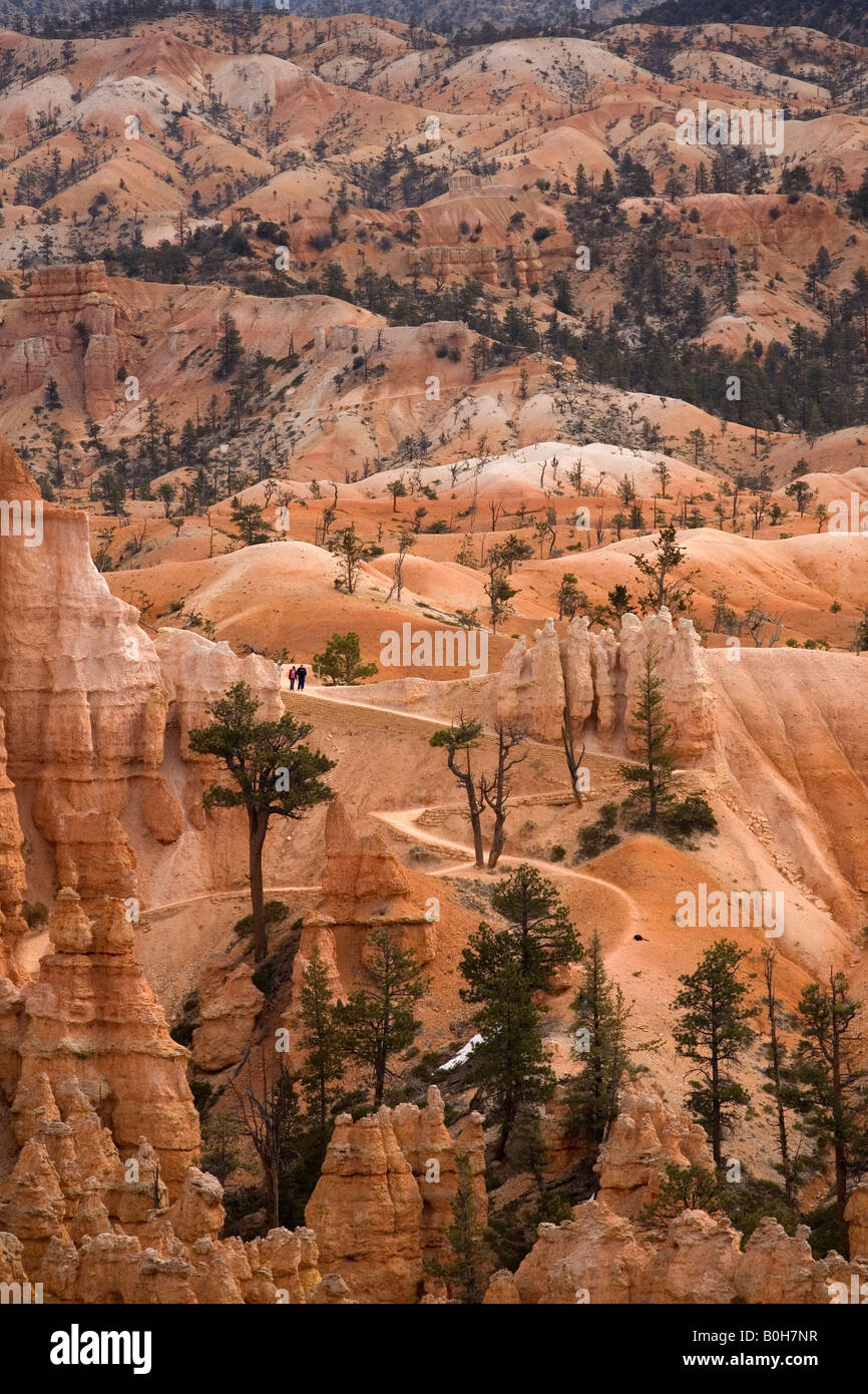 Trails in national park hi-res stock photography and images - Alamy