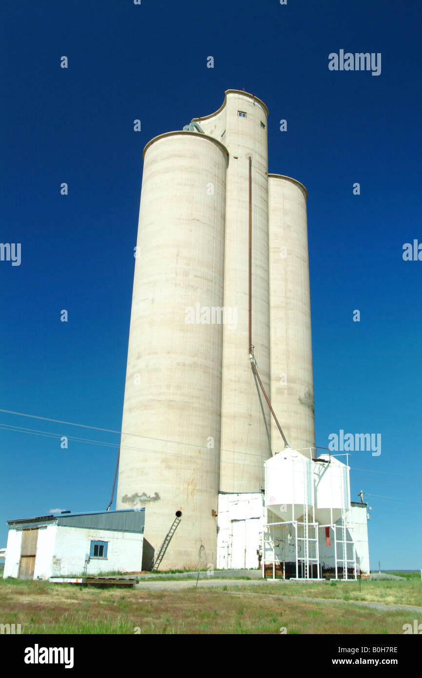Grain elevator / silo in western Kansas Stock Photo - Alamy
