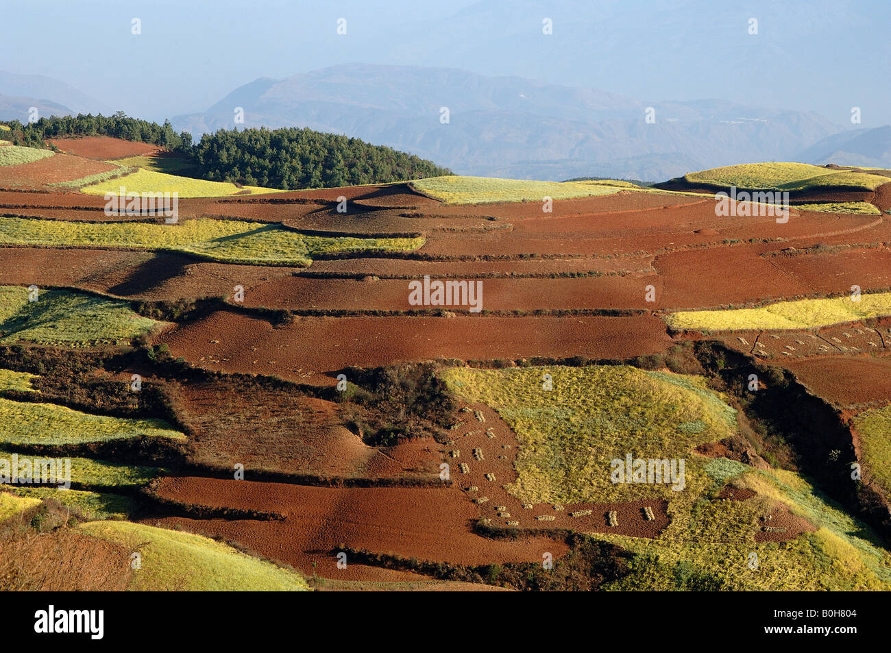 The red earth region around Dongchuan in east Yunnan, China is popular ...