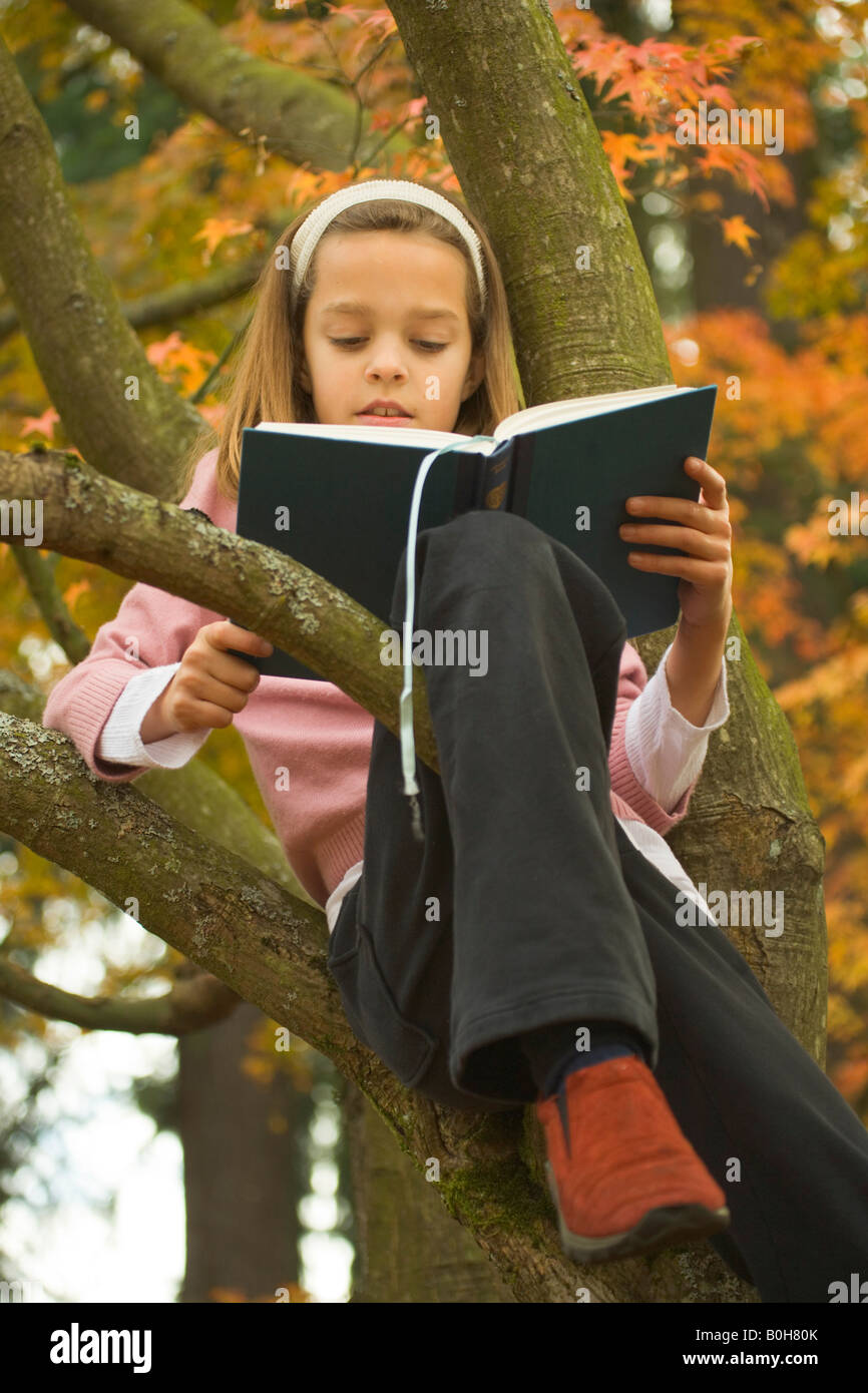 Girl reading a book in a tree Stock Photo - Alamy
