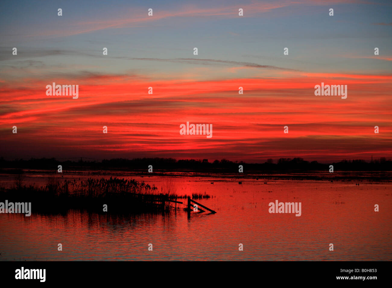 Welney flood hi-res stock photography and images - Alamy