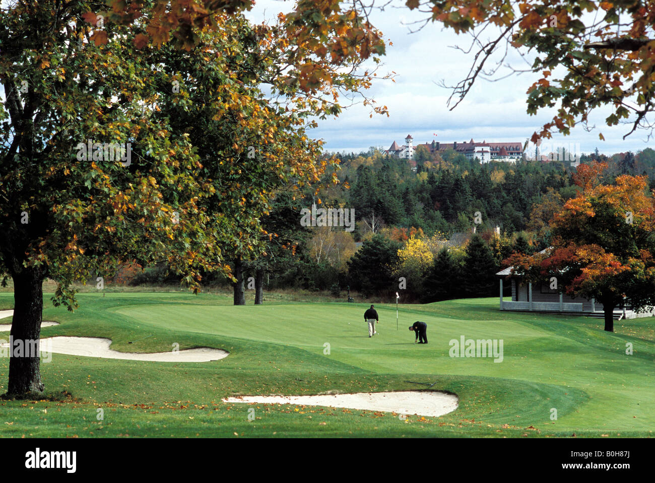 Two male golfers heading for the green on the Algonquin Golf Course in ...