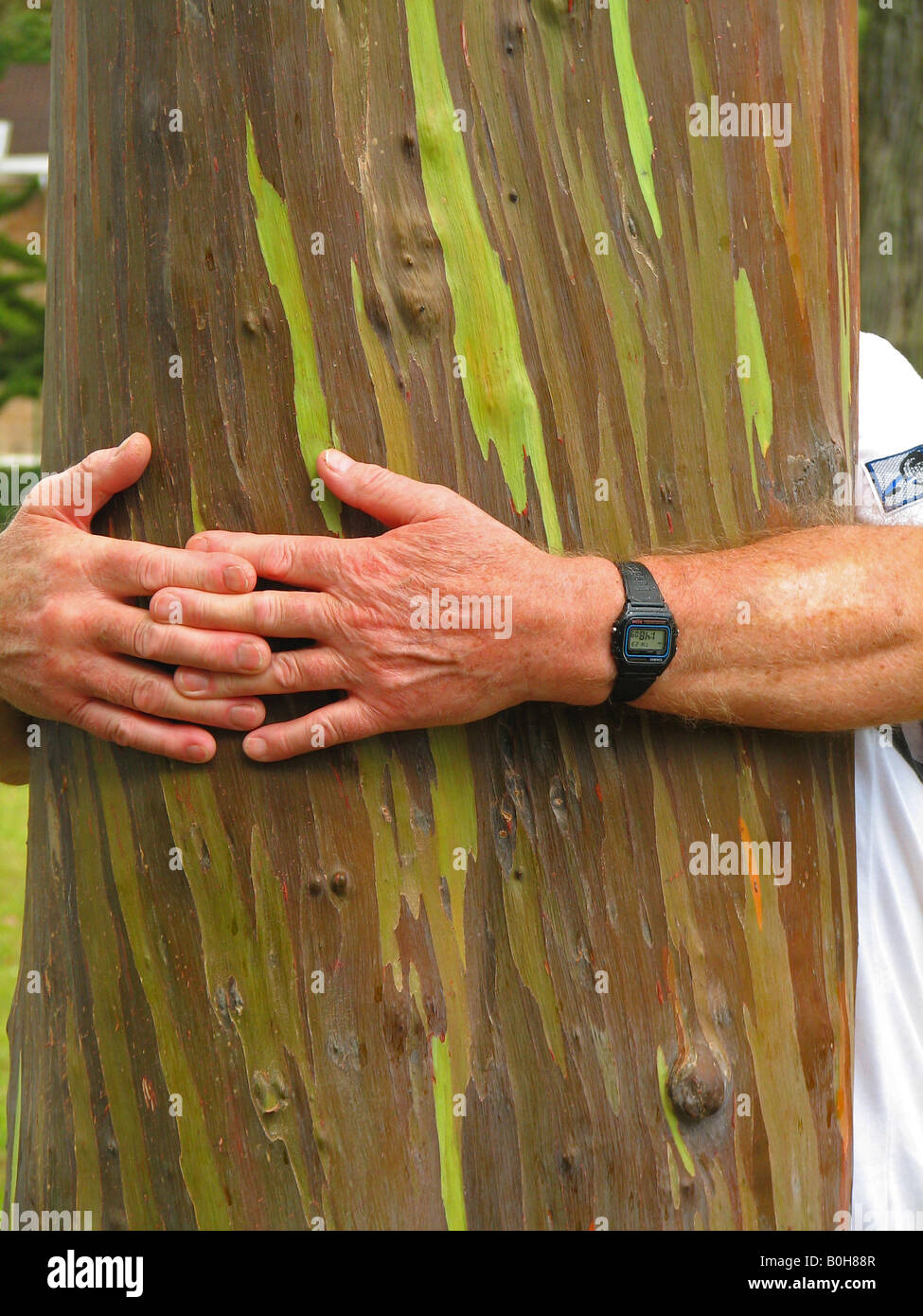 Tree hugger activist hi-res stock photography and images - Alamy