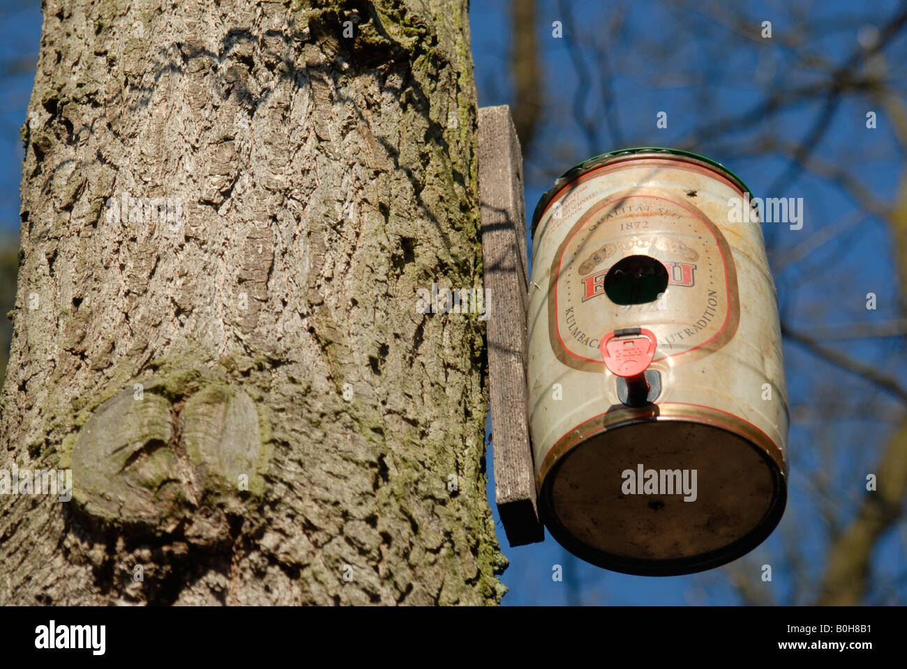 Tin beer barrel used as a bird house, aviary Stock Photo - Alamy